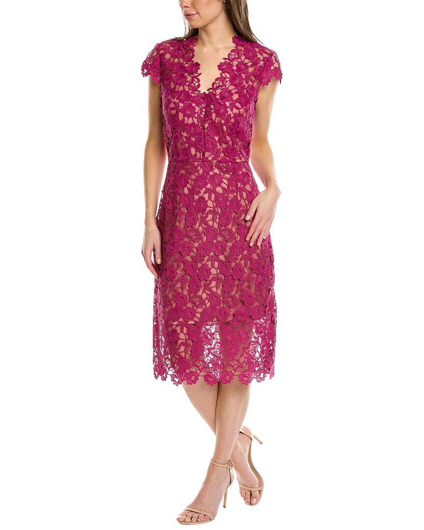 Rene By Rene Ruiz Collection Rene By Rene Ruiz Lace Sheath Dress In ...