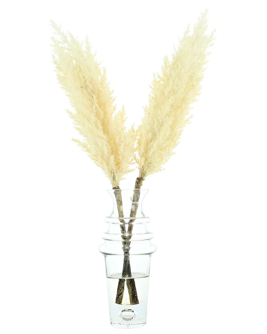 Creative Displays Tall Pampas Arrangement In Cream | ModeSens